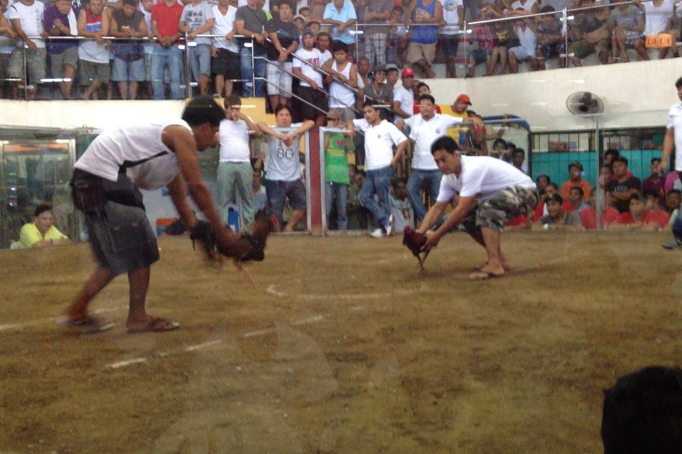 Pag-broadcast, live streaming ng sabong gagawing krimen | Bandera