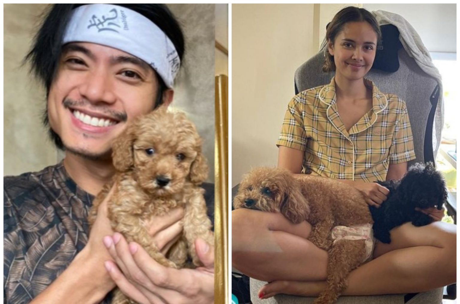 Mikael Daez, Megan Young may bagong 'baby': Introducing Chia, the dark ...