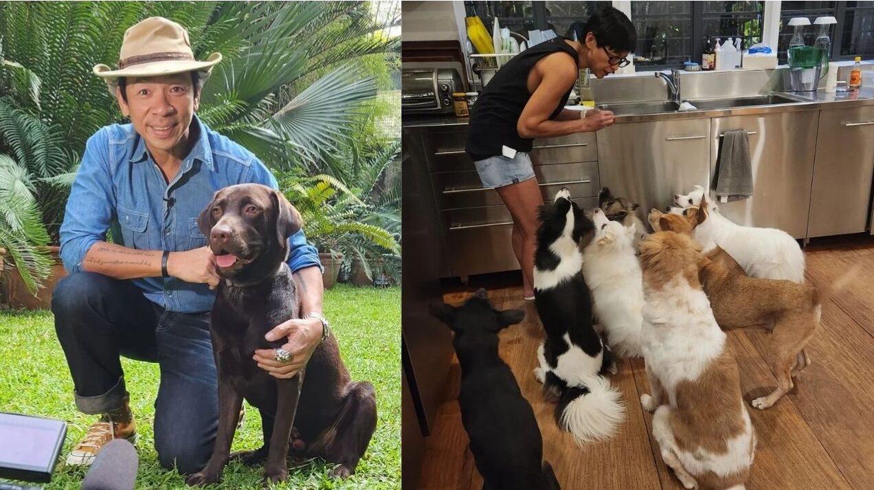 Kuya Kim ibinandera ang 35 dogs, karamihan rescued na aspin