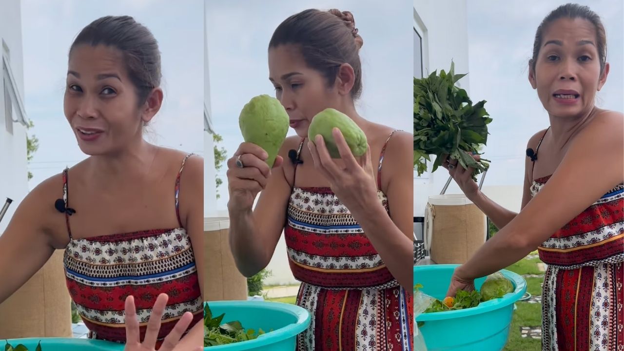 Pokwang kumasa sa P1k meal plan