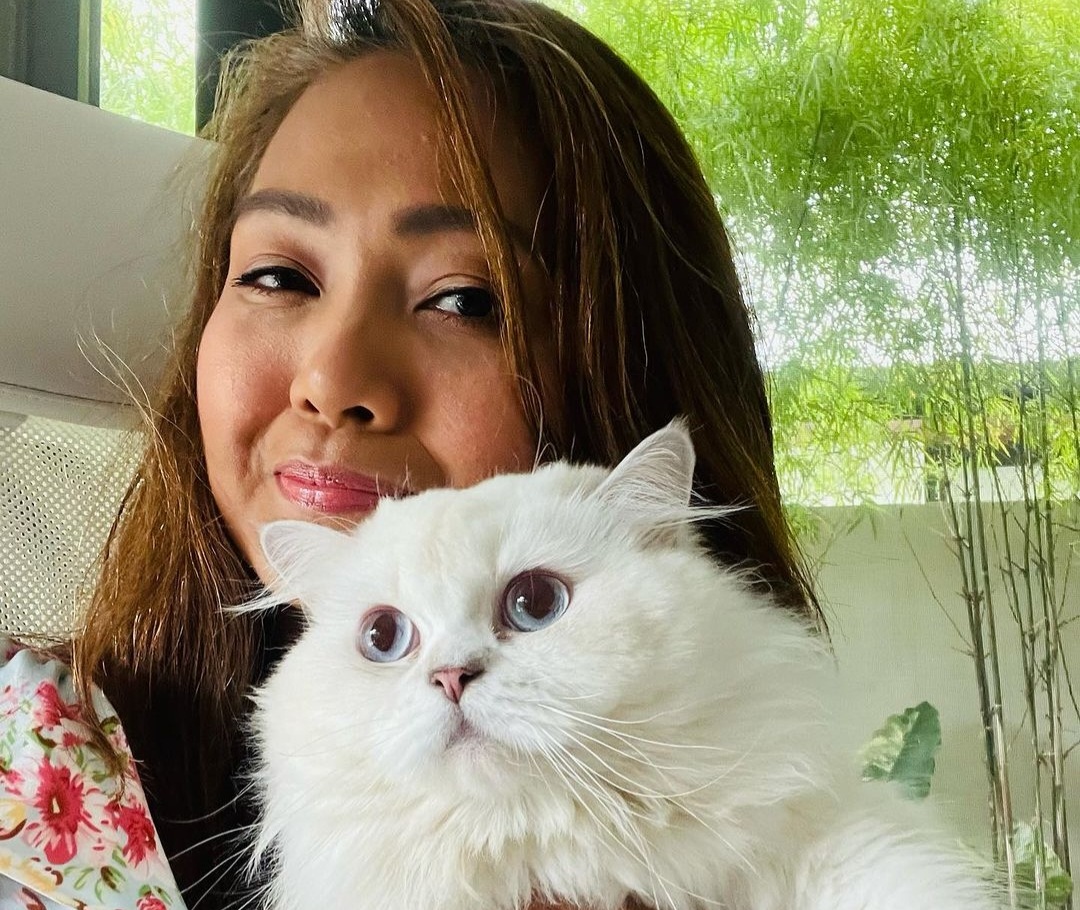 30 pusa ni Gretchen Malalad tinangkang lasunin ng kasambahay