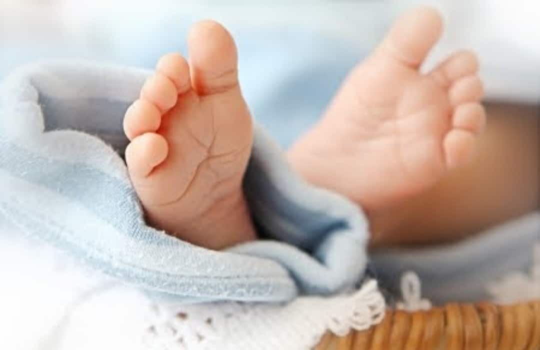 Sanggol na ipinalaglag tinangay ng aso, ina ng baby hinahanting
