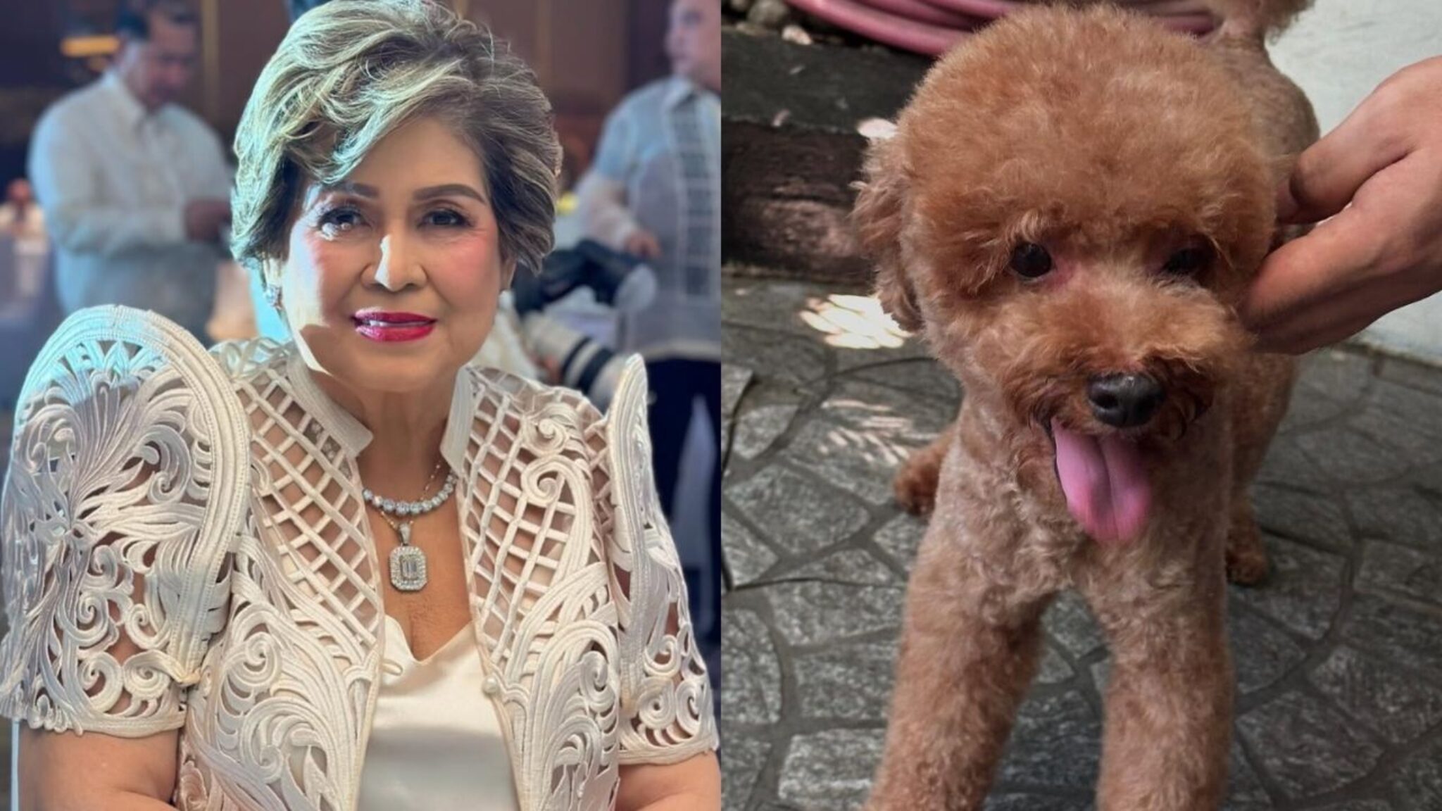 Annabelle Rama sa nawawalang fur baby: ‘Kawawa mga apo ko’