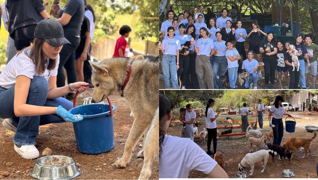 #SerbisyoBandera: PMAP nag-outreach sa Pawssion Project