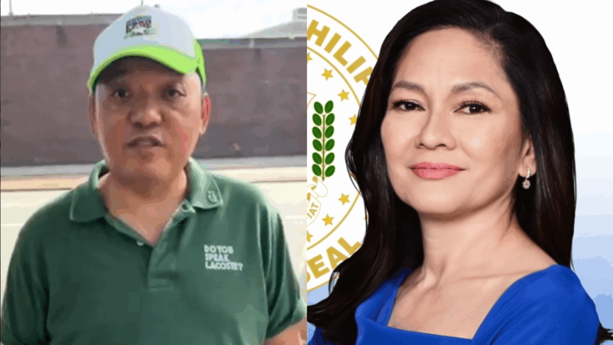 Harry Roque gustong paaalisin sa Senado si Hontiveros