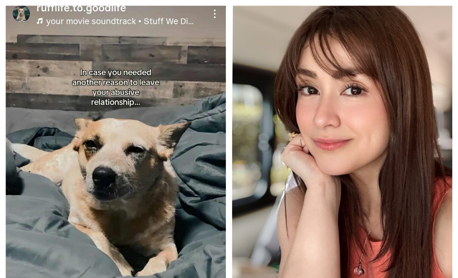 Alagang aso ni Carla Abellana 'inabuso' ng 'narcissistic ex'