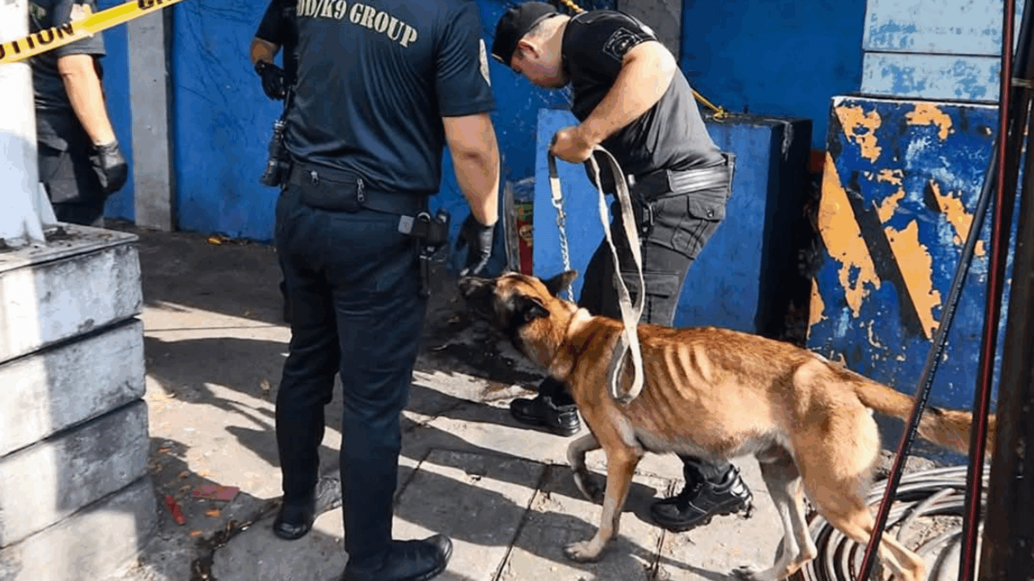 RECU-NCR nagpaliwanag sa viral K9 dog na sobrang payat