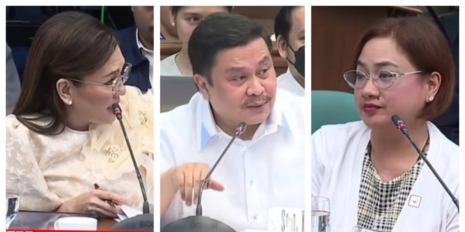 Discaya napaamin nina Estrada, Hontiveros sa Senate hearing