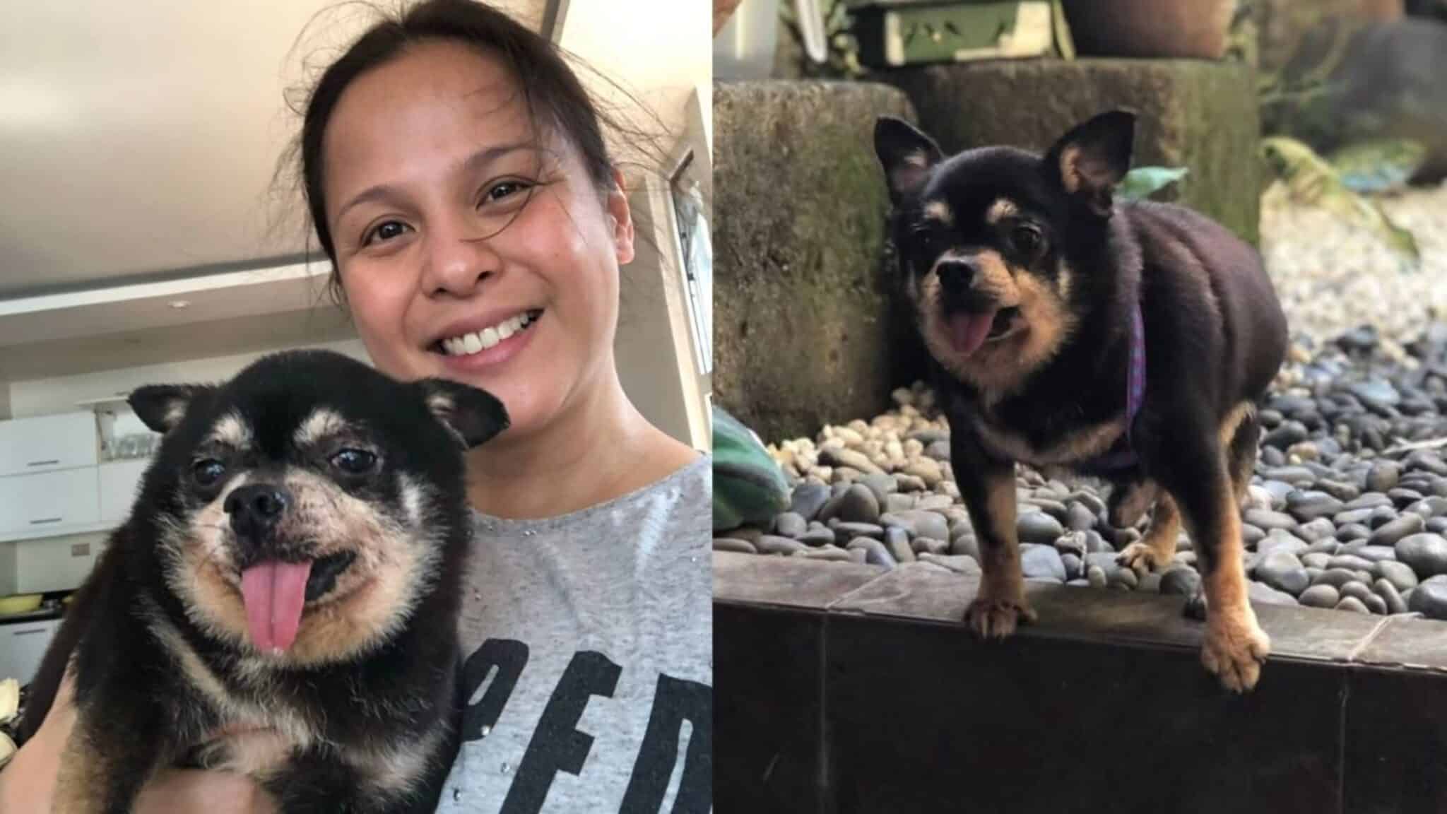 Nikki sa pagpanaw ng pet dog: ‘Not ready for this kind of pain’